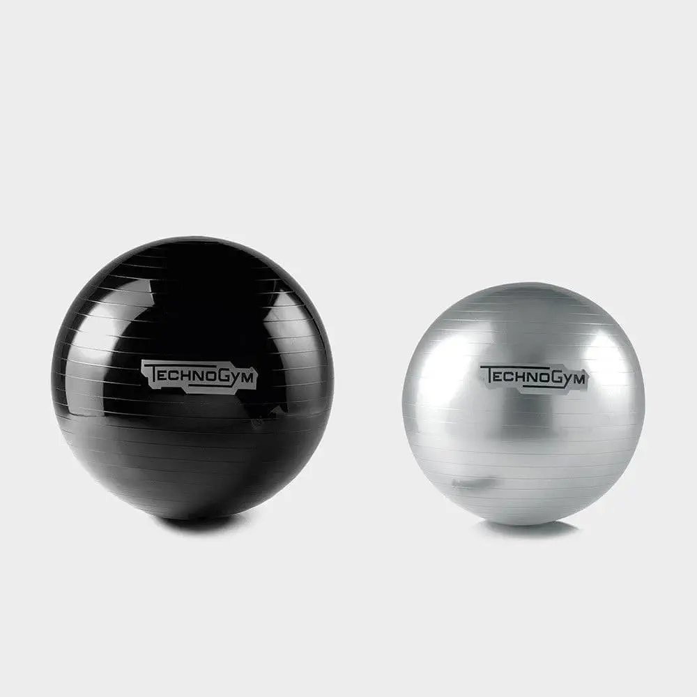 Wellness Ball™ Training Technogym - Main Pulse